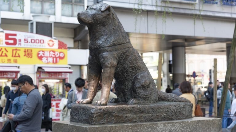 L'incroyable histoire d'Hachiko : Le chien fidèle de Shibuya ...